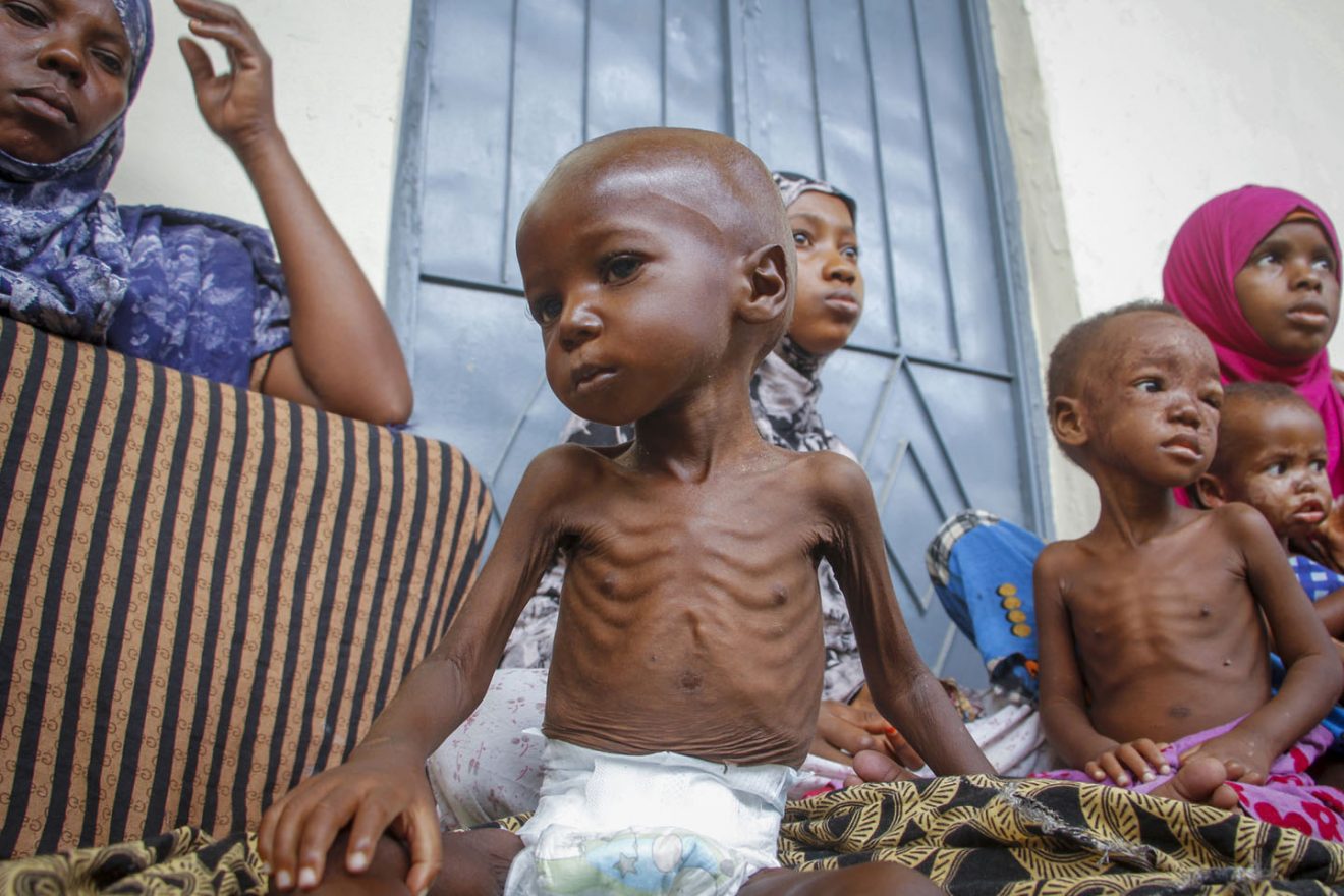 Record hunger in the world: Over 830 million people are chronically ...