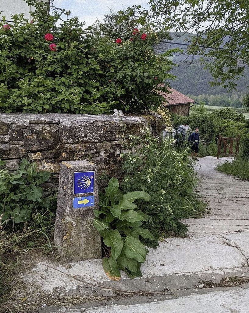 Avantura, pročišćenje ili novi početak života - Vreme